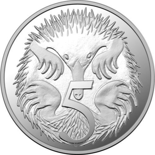 1981 Echidna 5c UNC – All Aussie Coins